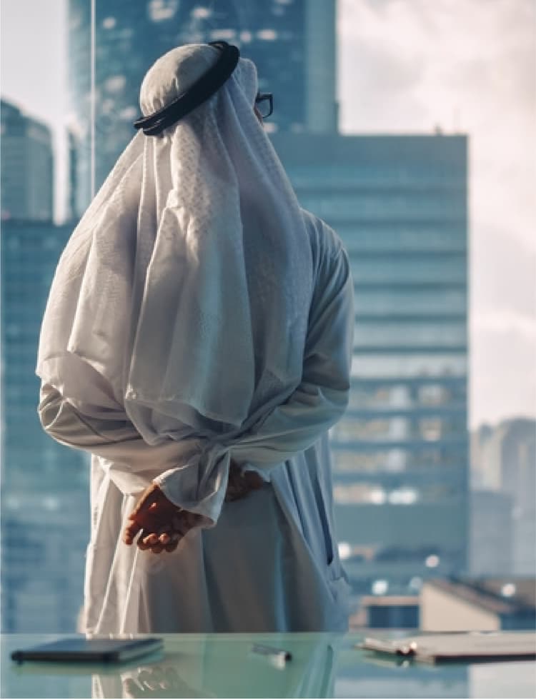 SurveyMENA -Online Surveying Services in MENA Region